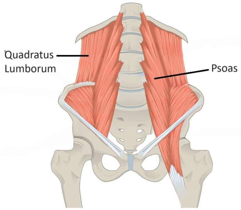 Relieve Pain From A Twisted / Rotated Pelvis With ONE Exercise